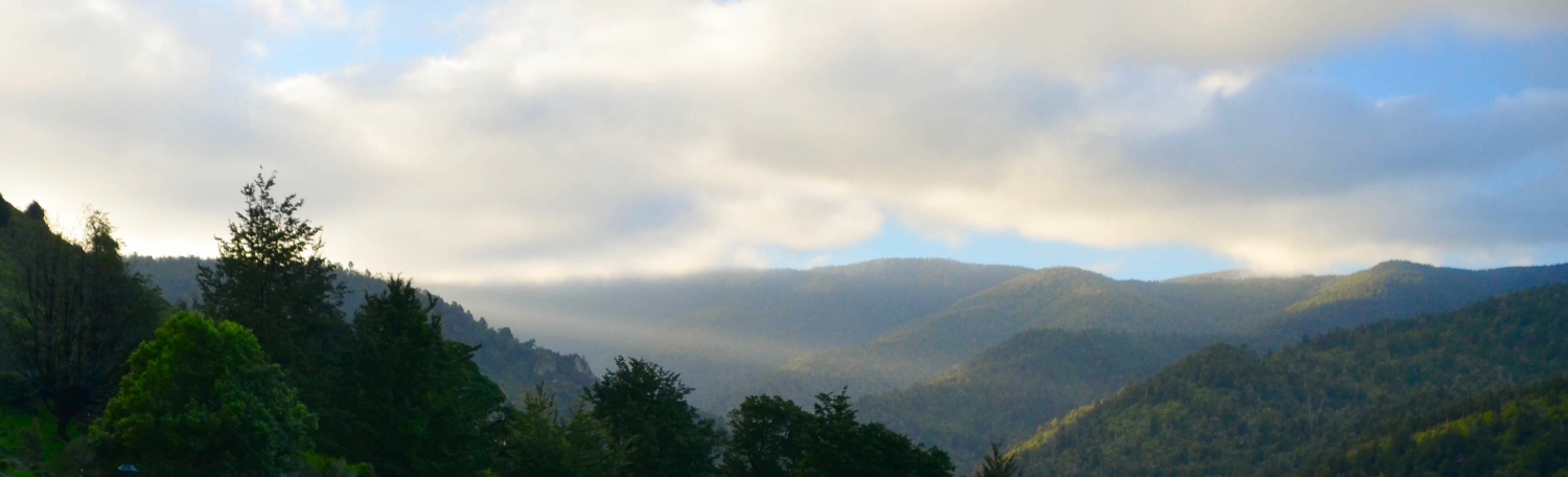 Glentui - Diamond Way Buddhism New Zealand