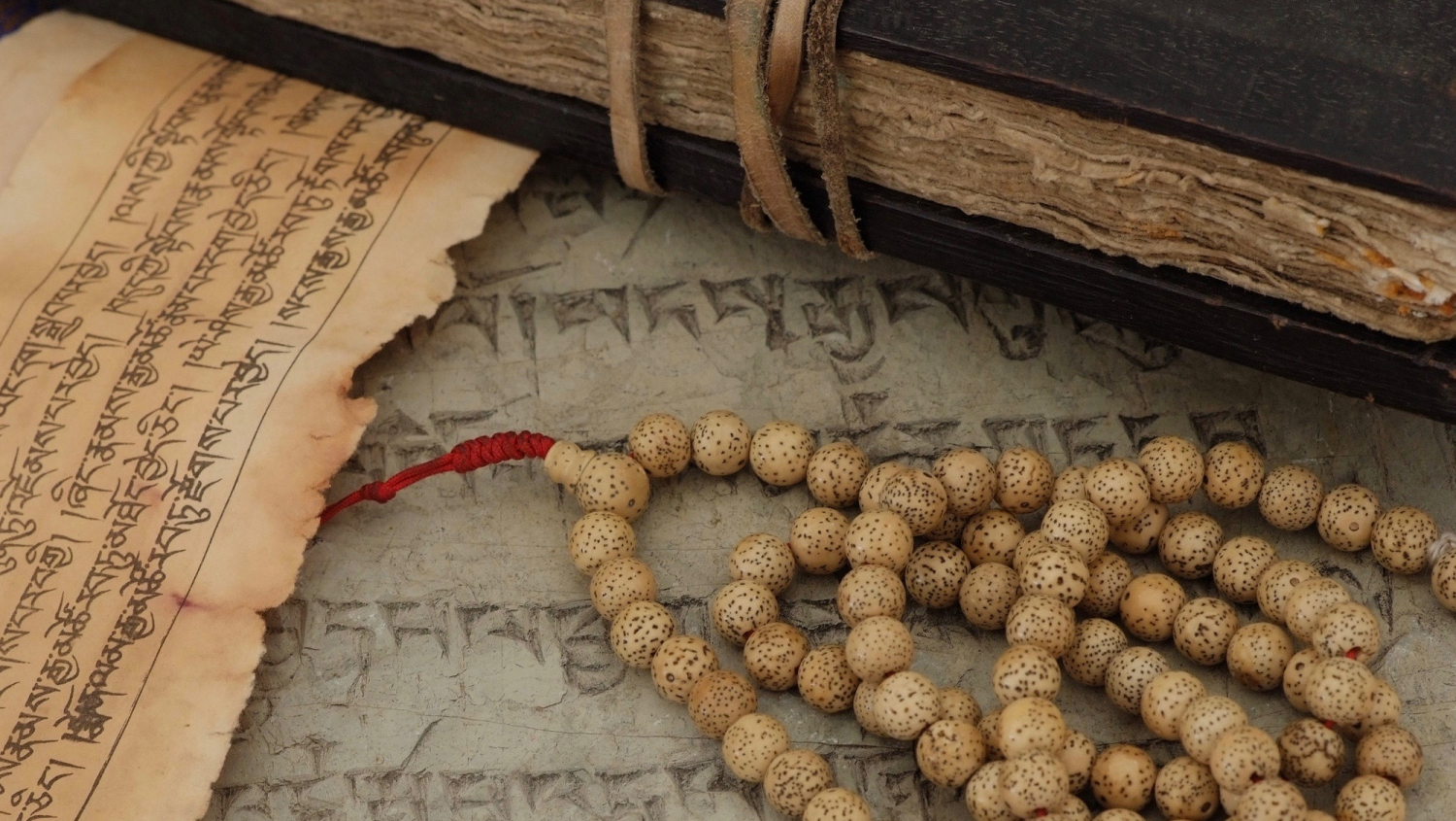 Diamond Way Buddhism New Zealand - Diamond Way Buddhism New Zealand